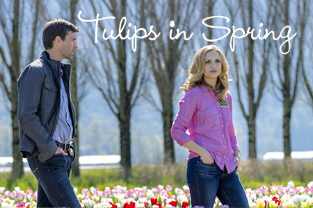 Tulips in Spring | Global TV App
